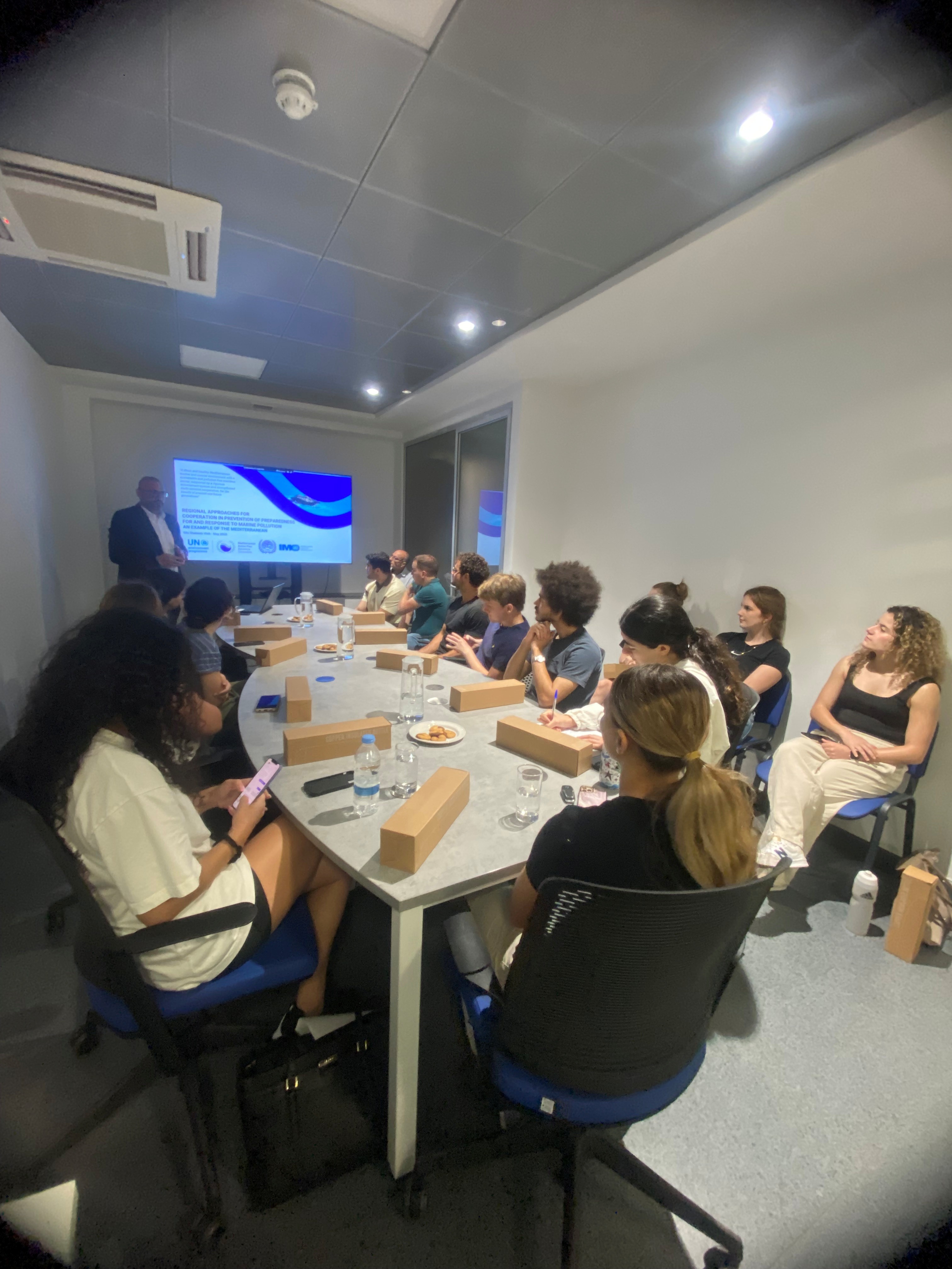 Regional Expert Meeting on the Possible Designation of the Mediterranean, as a whole, as a ...