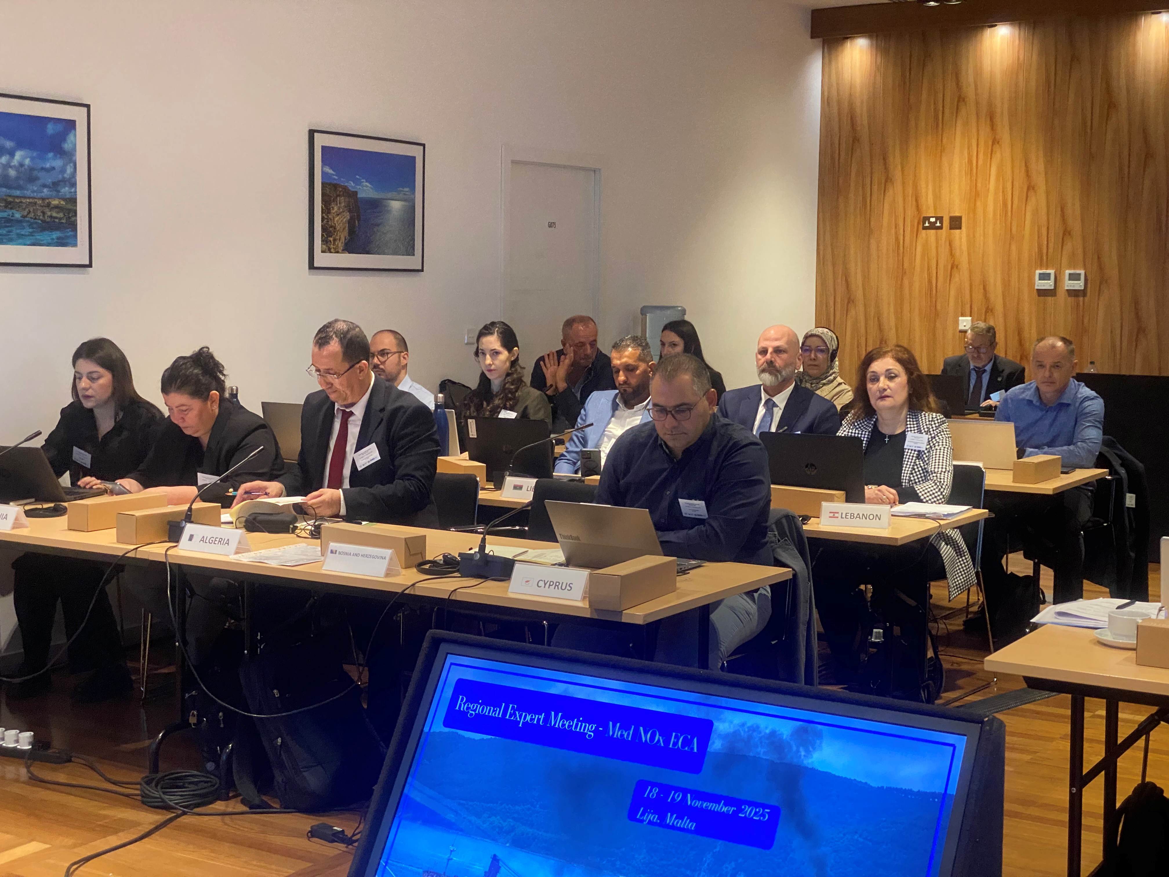 Regional Expert Meeting on the Possible Designation of the ...
